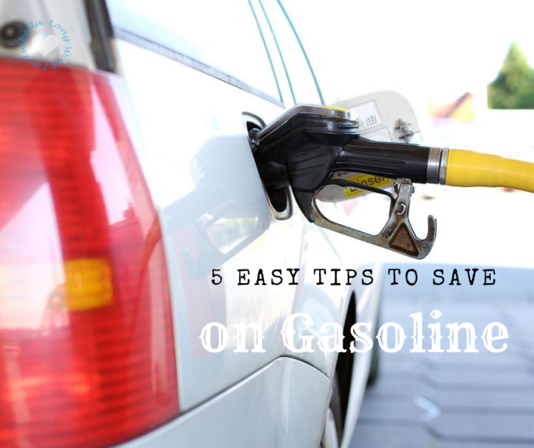 Five Easy Tips to Save on Gas - Long Wait For Isabella
